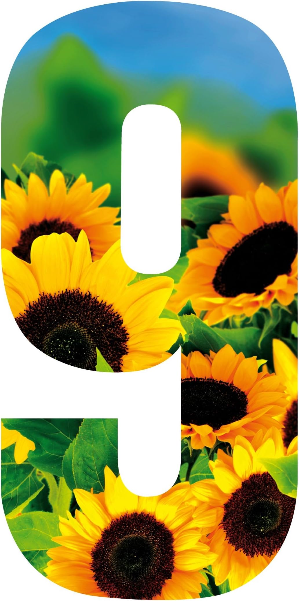 3 Pack Daisy Wheelie Bin Numbers for Bins Choose Your Numbers 0-9 ...