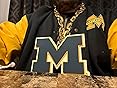 Amazon.com: Michigan Wolverines Touchdown Fan Chain 10 Inch 3D Foam ...