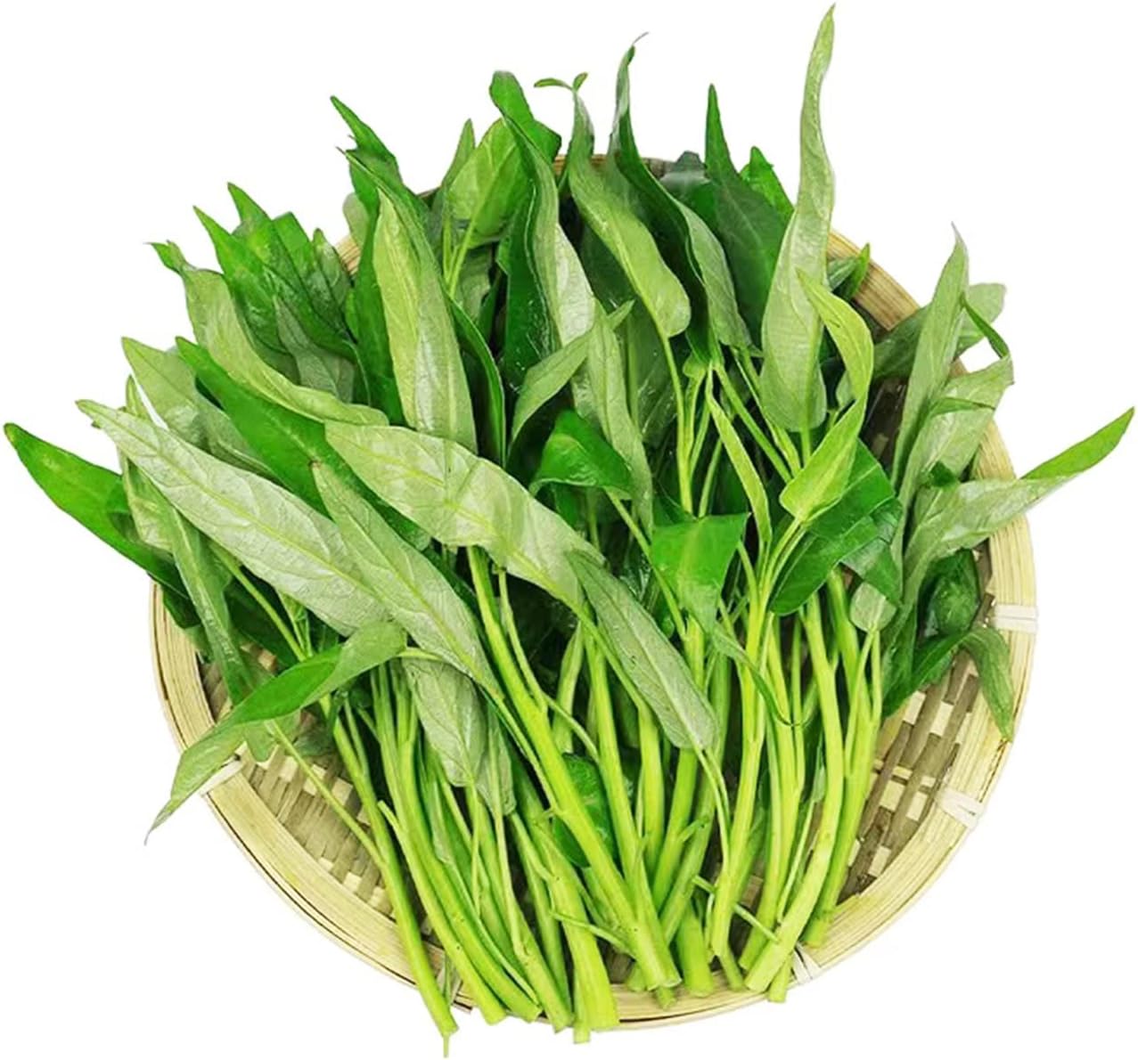 Amazon.com : 1200+ Kong Xin CAI Vegetable Seeds Water Spinach Kangkong ...