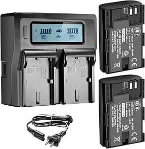 Amazon.com : BM Premium 2 Pack of LP-E6NH High Capacity Batteries and Dual Bay LCD Battery ...