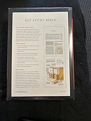 ESV Study Bible (Ebook) - Kindle edition by ESV Bibles, Alexander, T ...