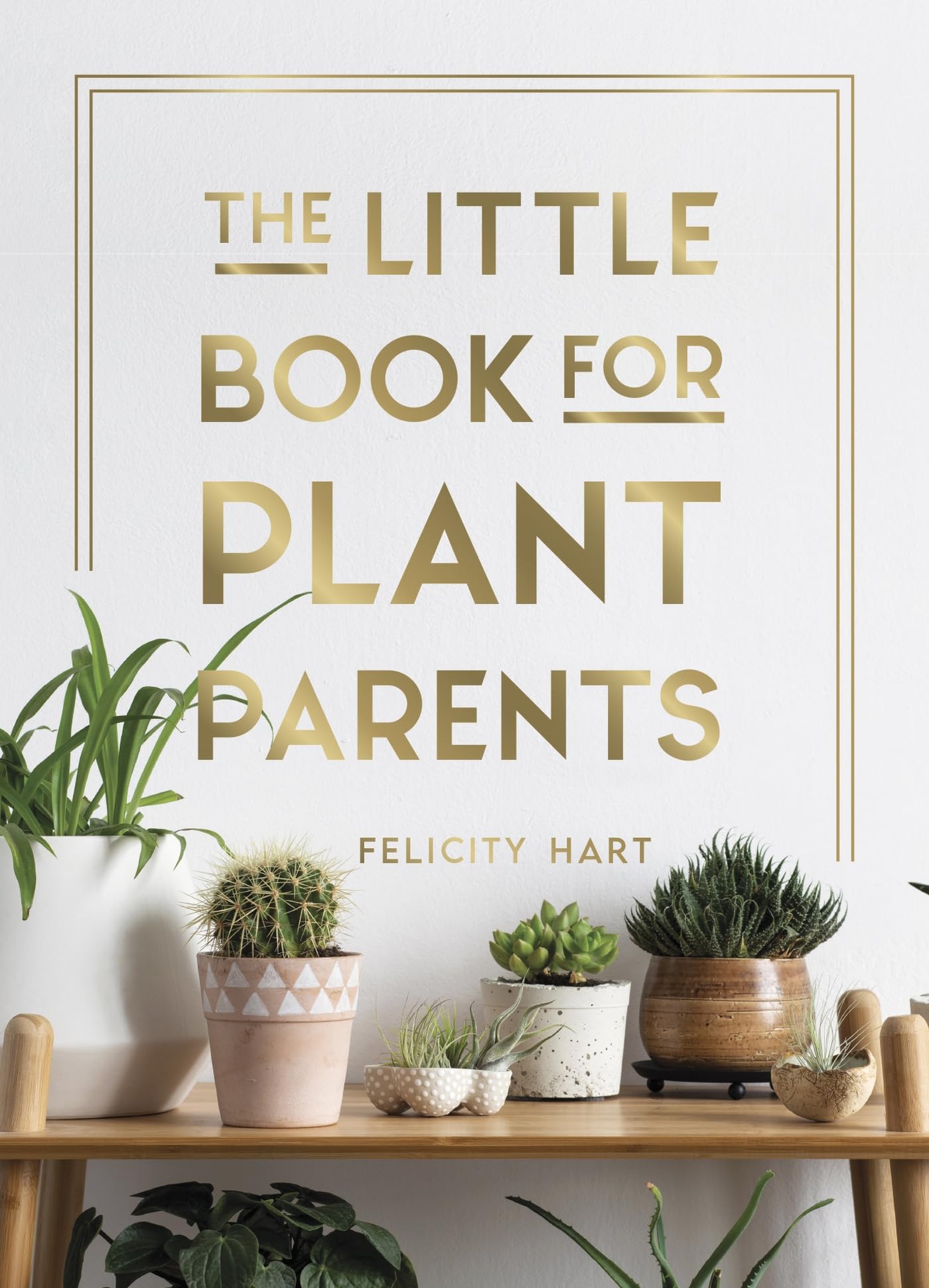 The Little Book for Plant Parents: Simple Tips to Help You Grow Your ...