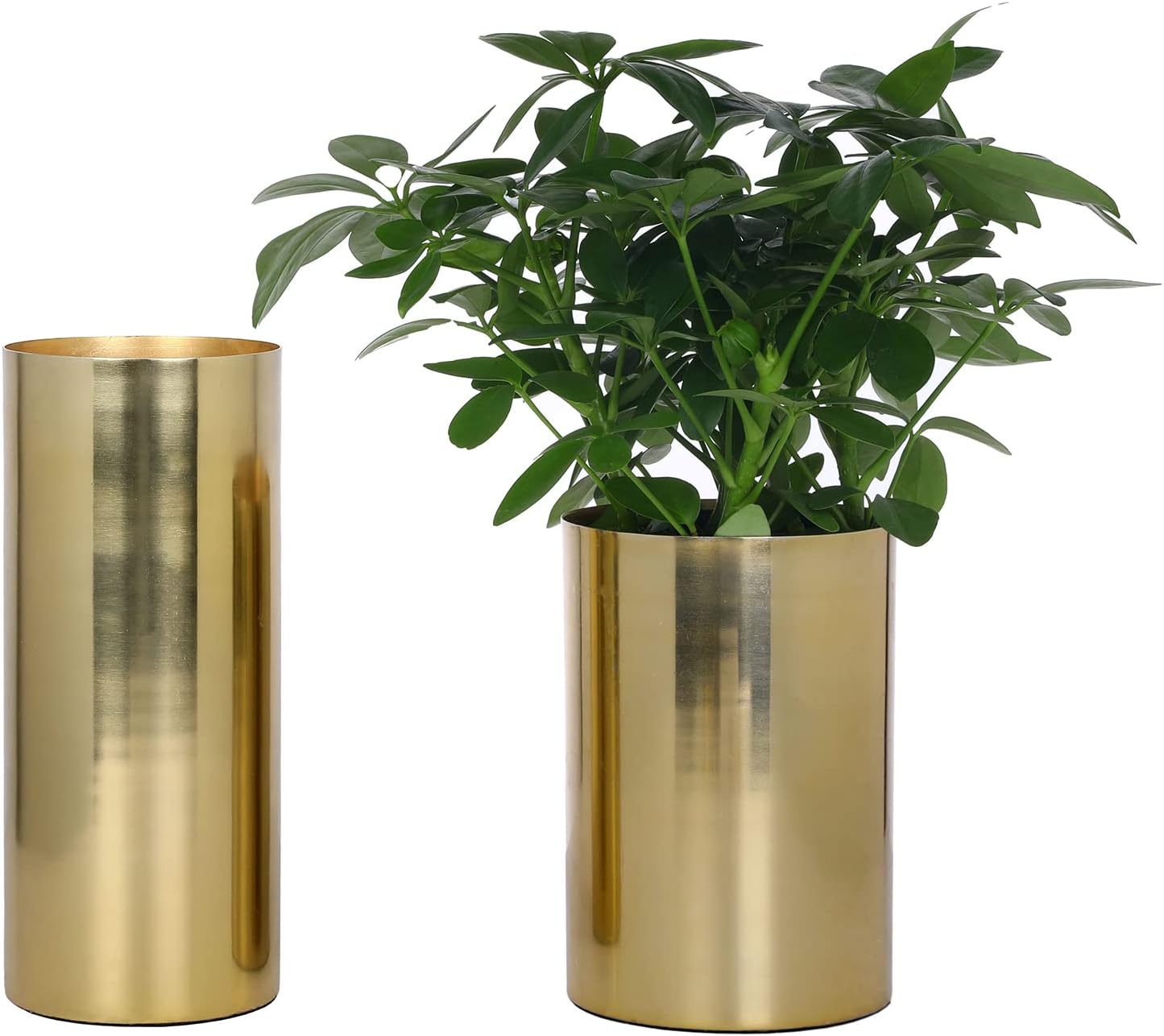 Amazon.com: MyGift Tall Modern Metallic Brass Tone Metal Vase ...
