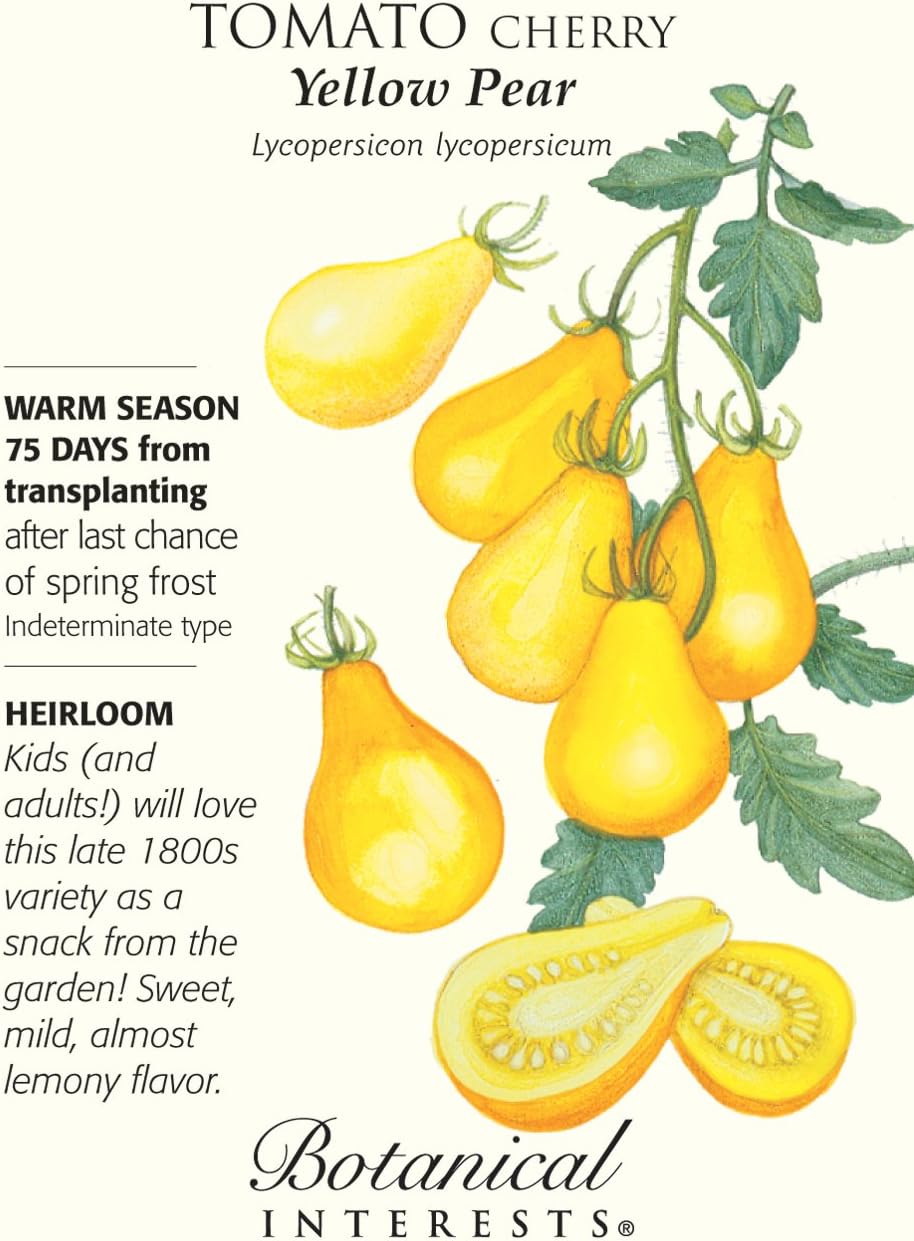 Amazon.com : Tomato Cherry Yellow Pear Seed : Tomato Plants : Patio ...