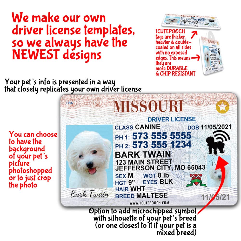 Jersey City Dog License at Nicholas Packard blog