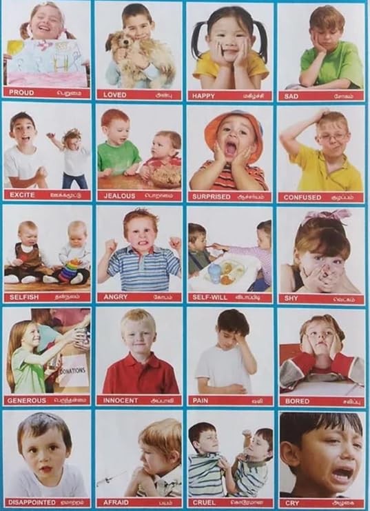 DANI DARI Peel and Paste Pictorial Sticker 10 Sheets | Stickers for ...