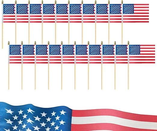 Amazon.com : 20 Pack Small American Flags, Small US Flags with Wooden ...