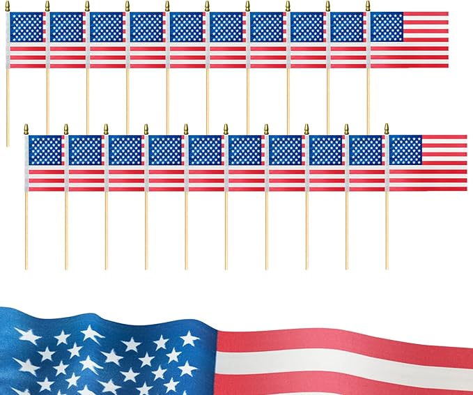 Amazon.com : 20 Pack Small American Flags, Small US Flags with Wooden ...