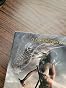 Amazon.com: Eona: The Last Dragoneye: 9781423379638: Goodman, Alison ...