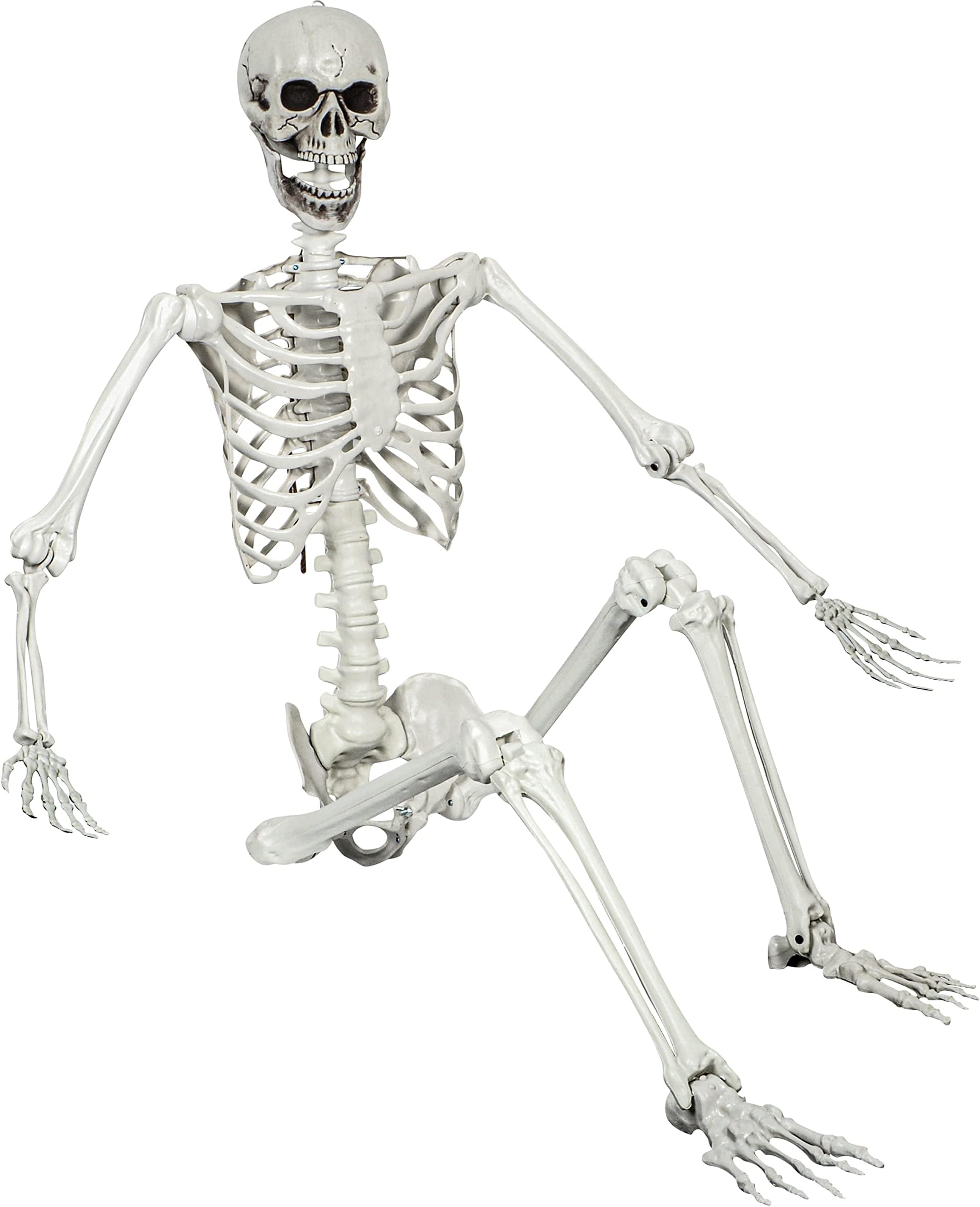 Amazon.com: Halloween Decorations - 5 Ft Placeable Halloween Skeleton ...