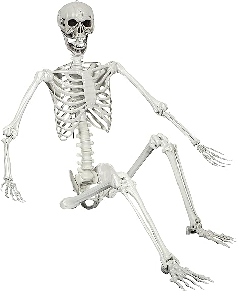 Amazon.com: 5.4ft Halloween Posable Skeleton Realistic Life Size Human ...