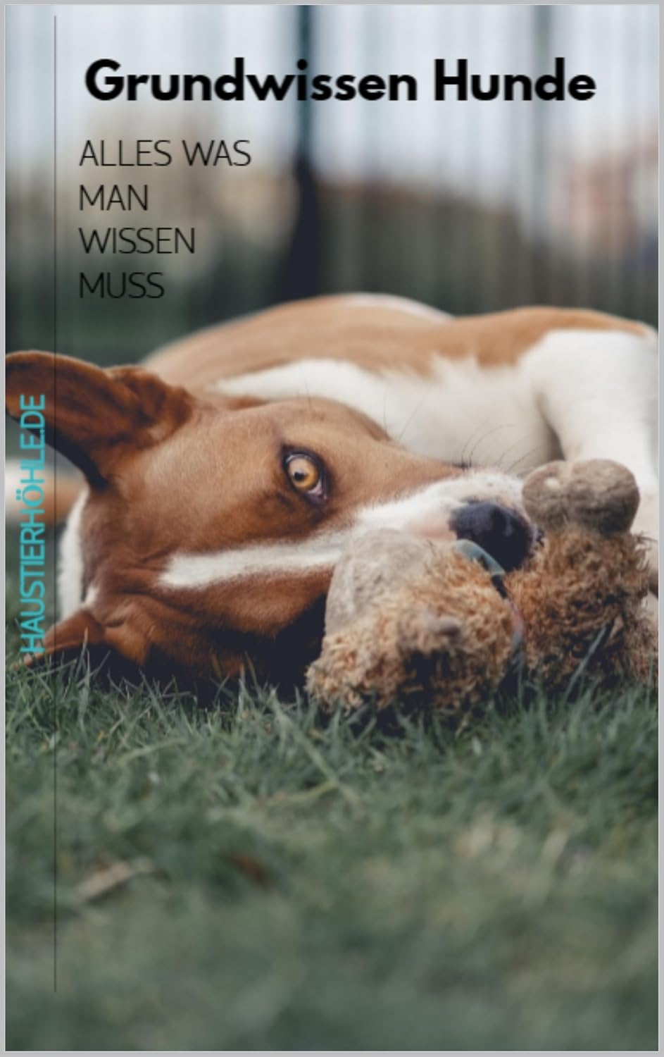 Grundwissen Hunde eBook : Wotschel, Jason, ulrich, Andre: Amazon.de ...