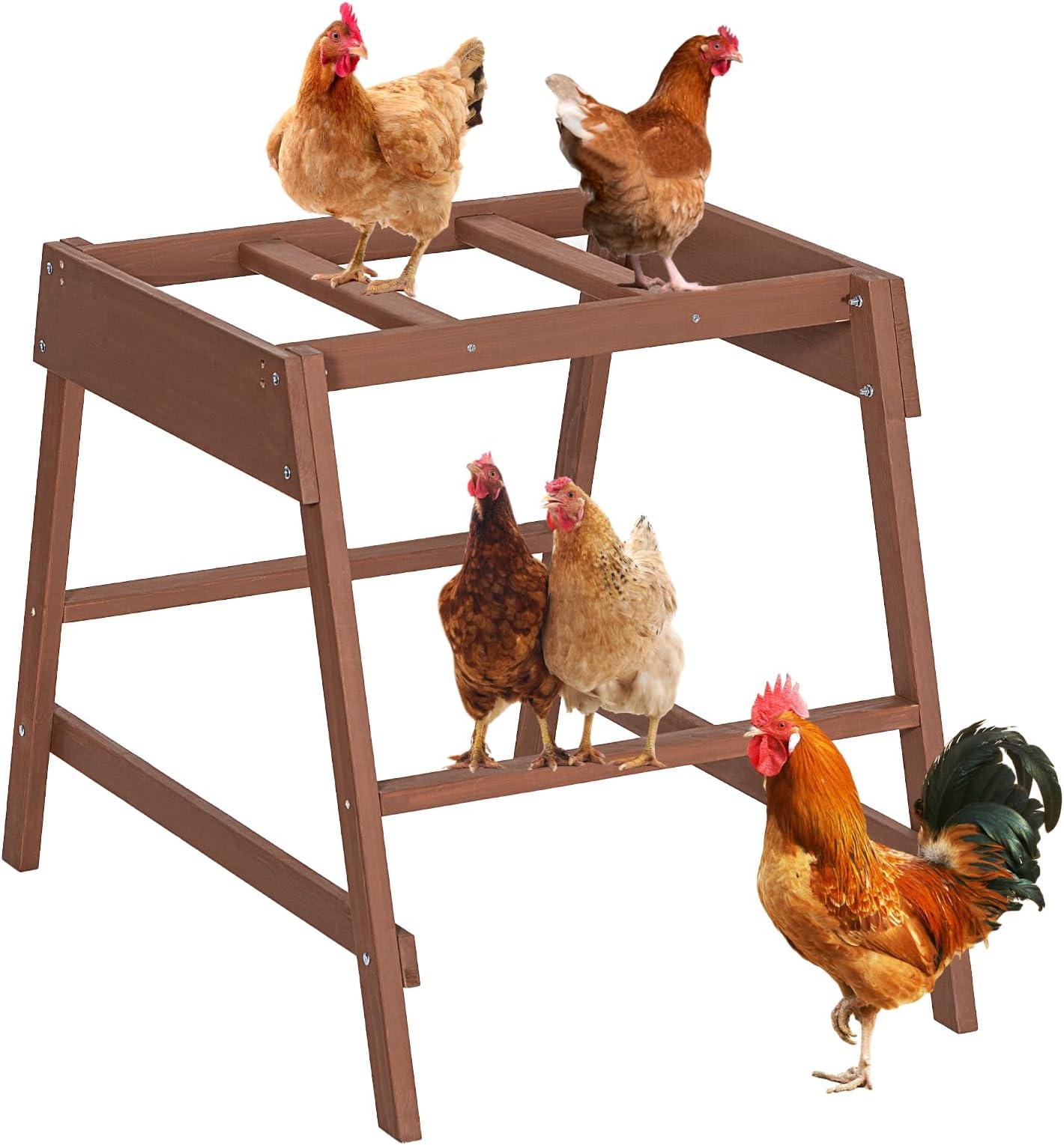 Amazon.com: PETSFIT Chicken Perch for Coop with Multiple Chicken ...