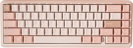 Amazon.com: Varmilo Minilo VXB67 Graptopetalum Mendozae 65% Bluetooth ...