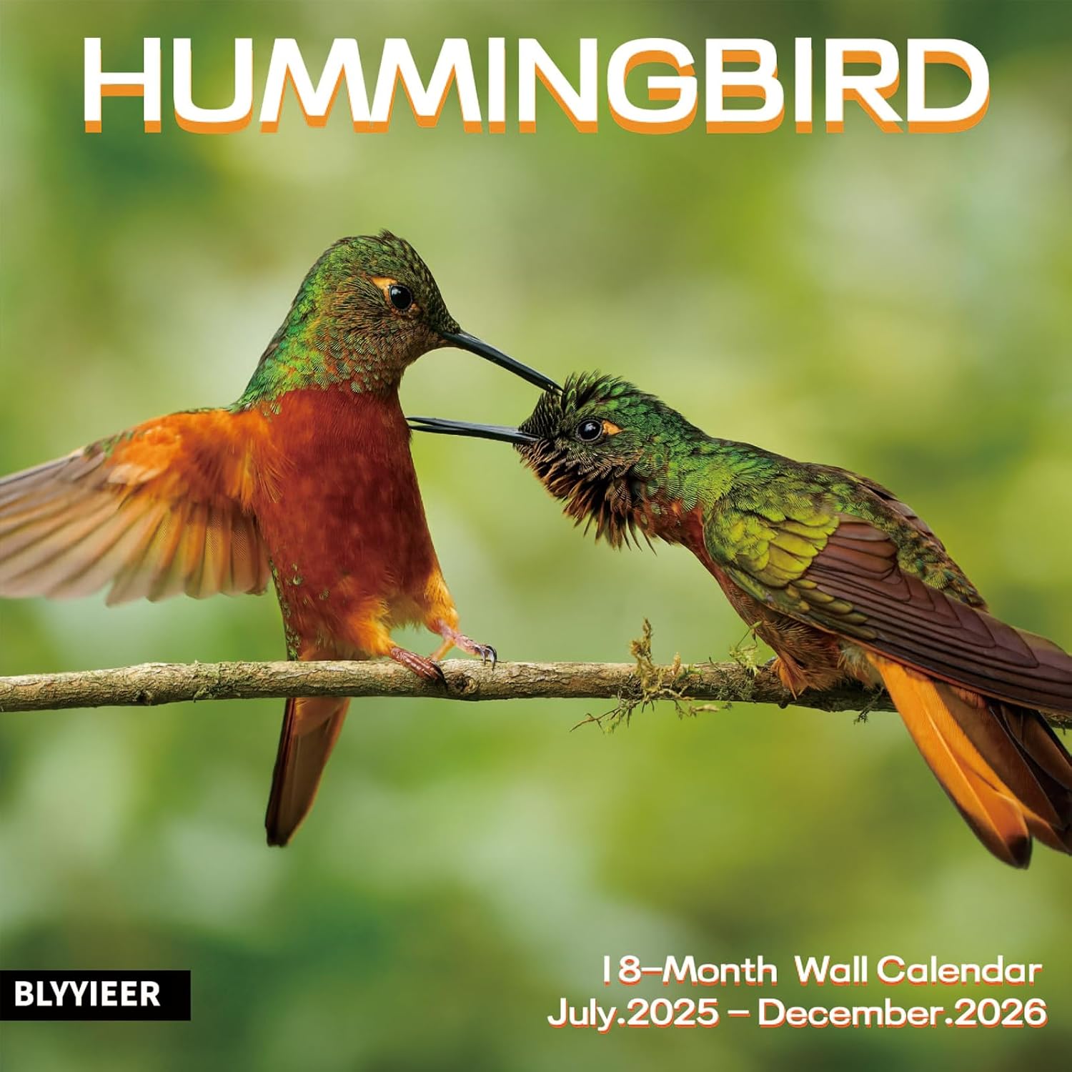 Amazon.com: 2025-2026 Wall Calendar Hummingbird | 18 Monthly Hangable ...