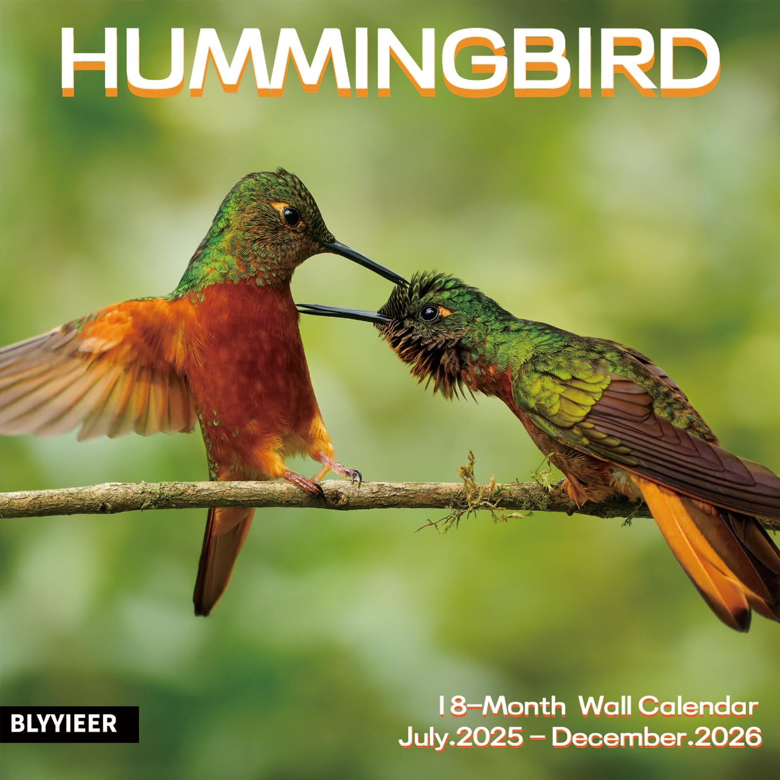 Snapklik.com : 2025-2026 Wall Calendar Hummingbird 18 Monthly Hangable ...