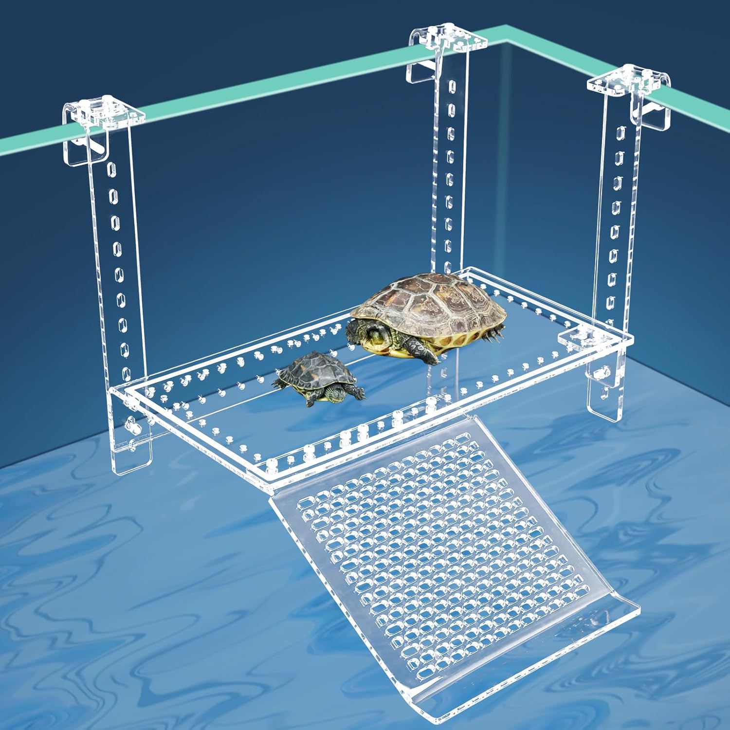 Amazon.com : Wedoelsim Hanging Turtle Dock Turtle Tank Accessories ...