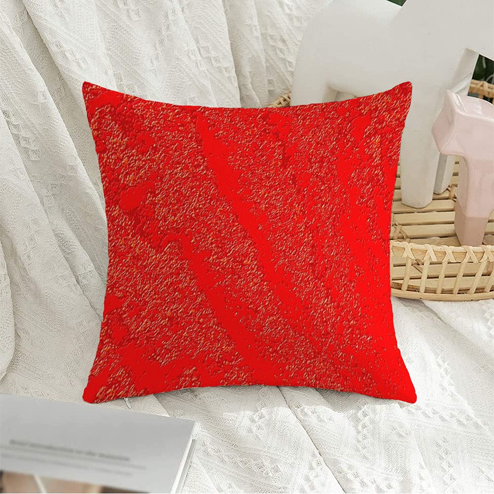 Velvet Cushion Red Texture