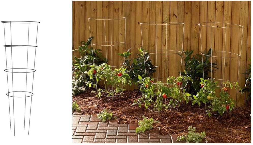 Amazon.com : lunlalin Round Tomato Cage 54 Garden Yard Vine Plant Heavy ...