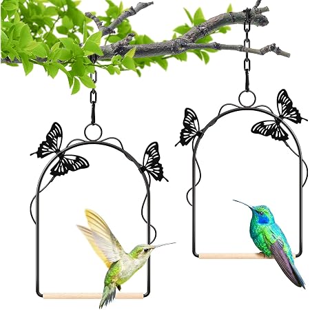 Amazon.com : 3 Pieces Hummingbird Swing Hummingbird Perch Feeder Rust ...