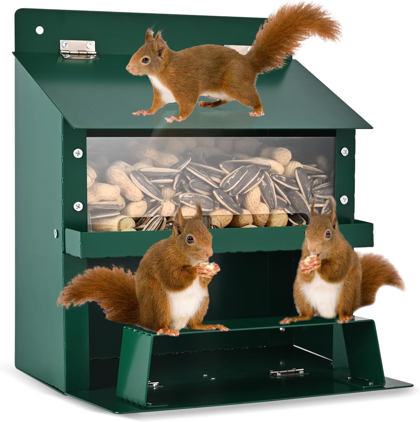 Amazon.com: Squirrel Feeders for Outside, Metal Squirrel Feeder with ...