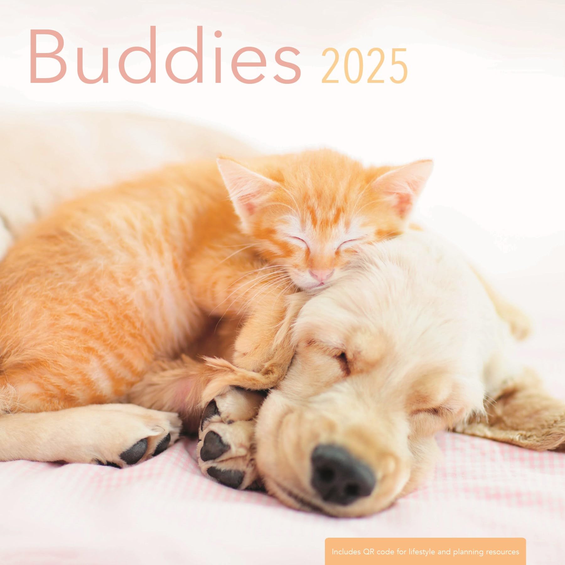 Little Buddies 2025 Wall Calendar - Puppy and Kitten Calendar ...