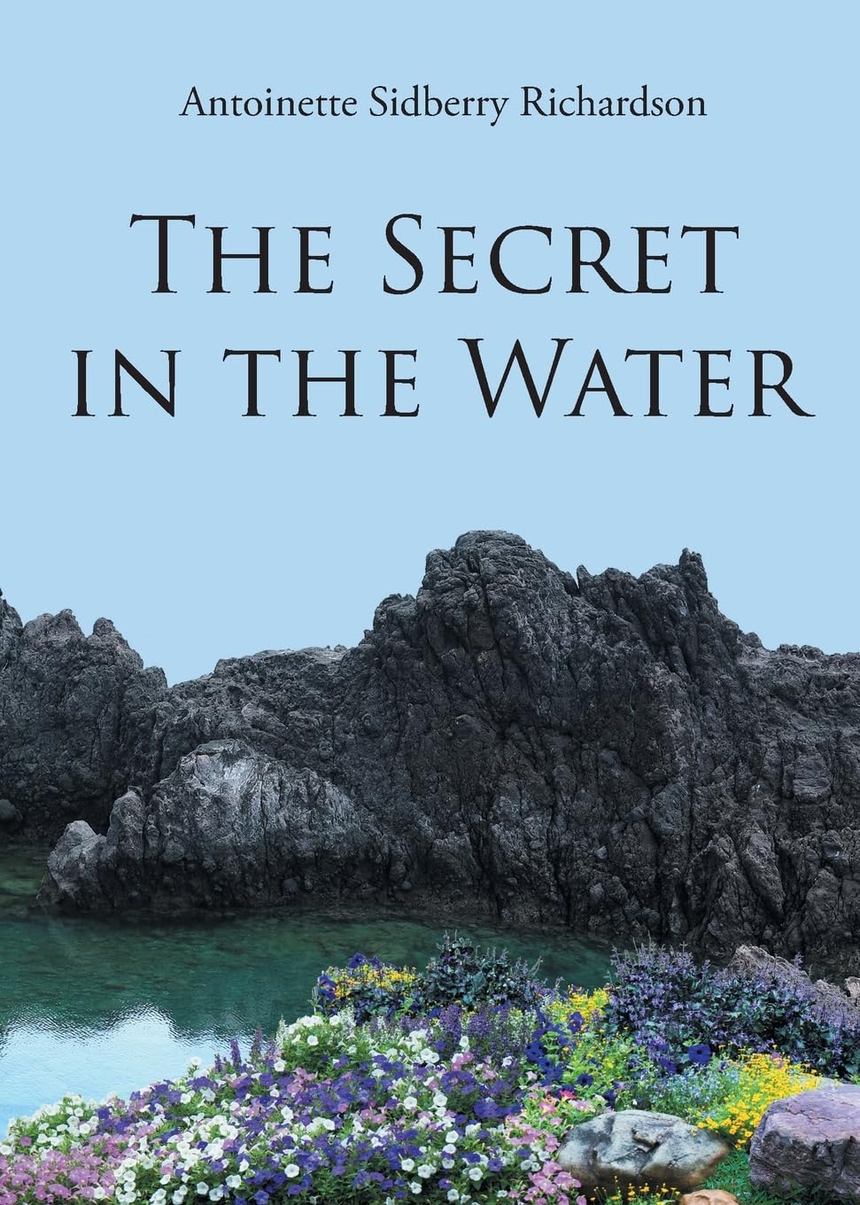 Amazon.com: The Secret in the Water: 9798887938127: Richardson ...