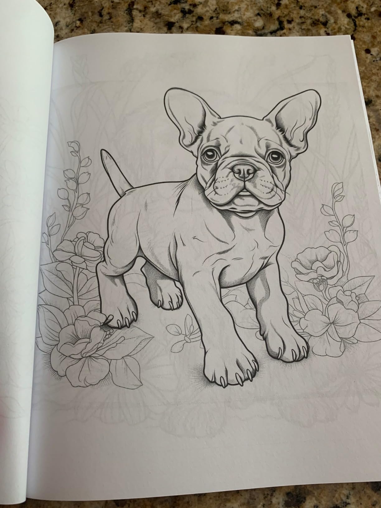 Amazon.com: Relaxing Dog Coloring Book: 50 Stress Relieving Dog ...