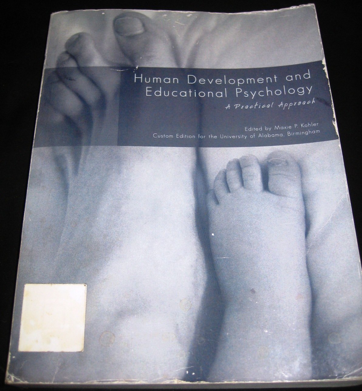 Human Development and Educational Psychology (A Practical Approach ...
