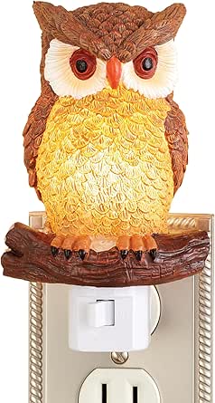 Collections Etc Hand-Painted LED Lighted Owl Plug-in Night Light ...