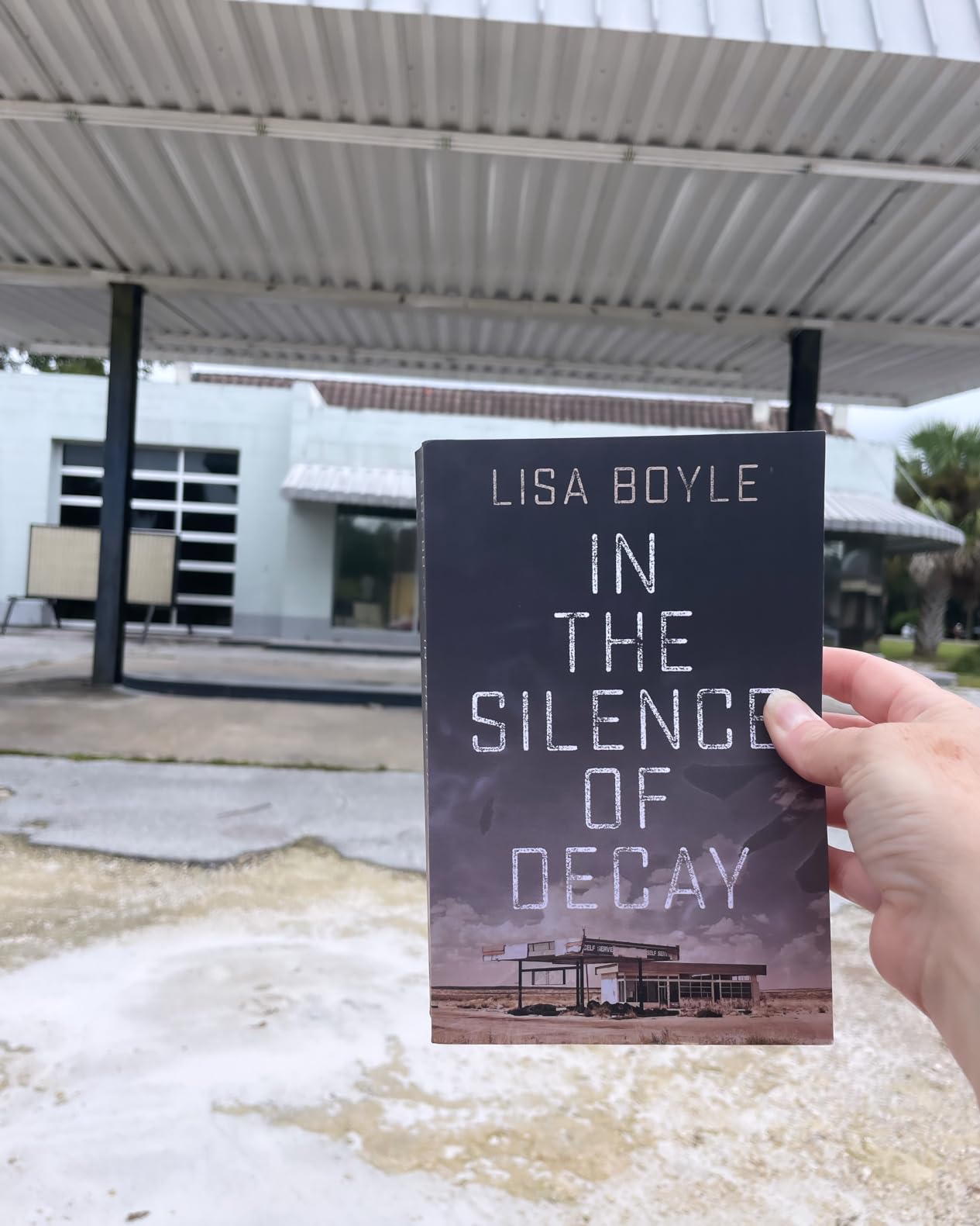 In the Silence of Decay (Pinter P.I. Book 1) - Kindle edition by Boyle ...