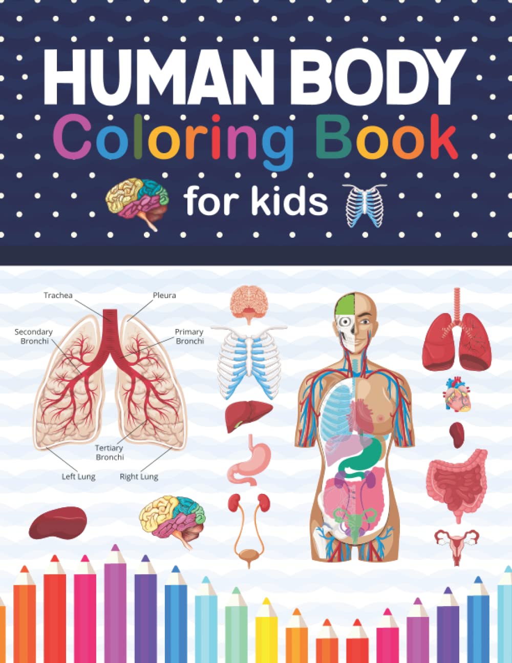 Anatomy Coloring Pages For Kids