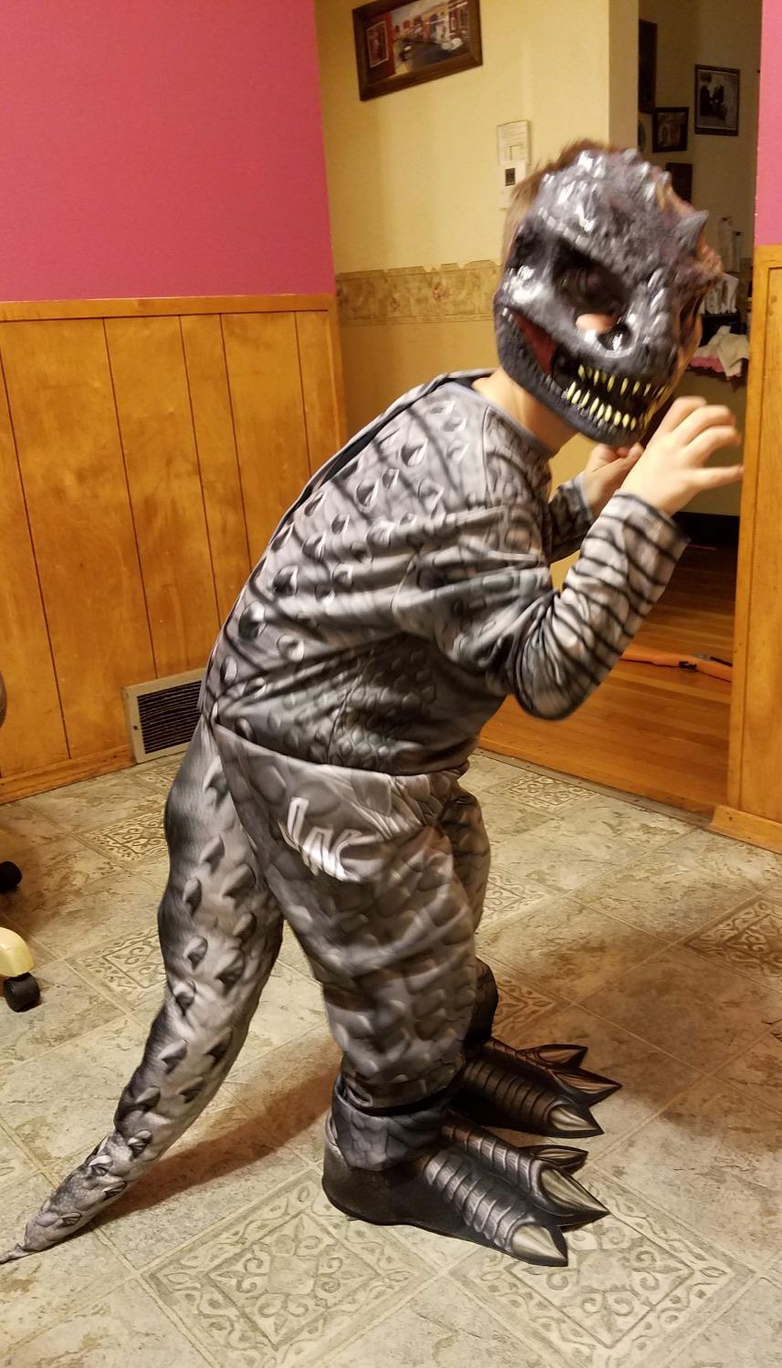 Amazon.com: Rubie's Jurassic World Indominus Rex Child Costume, Large ...