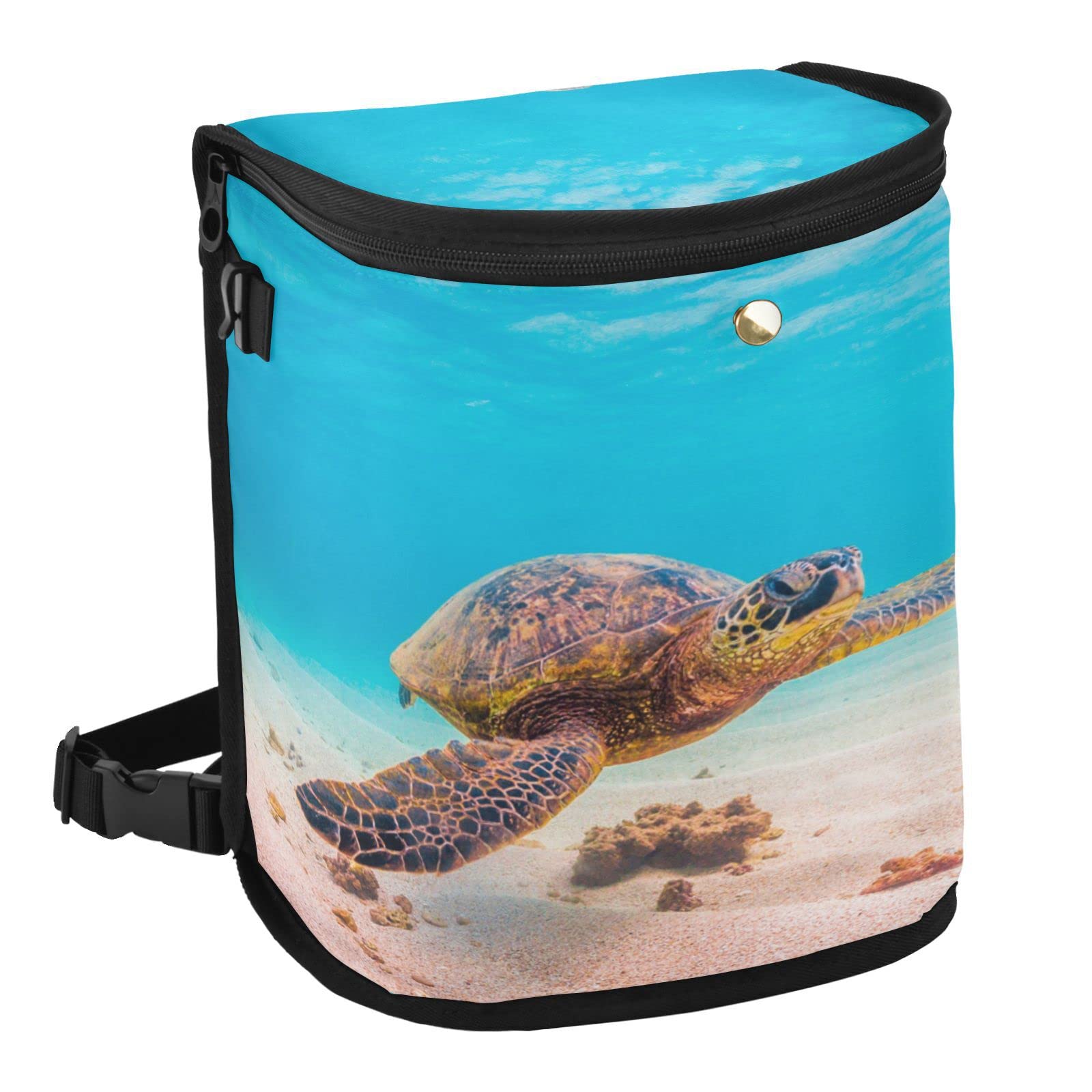 Sea Turtles In Trash