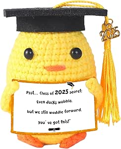 Amazon.com: WENGIFT Class of 2025 Graduation Gift – Handmade Crochet ...