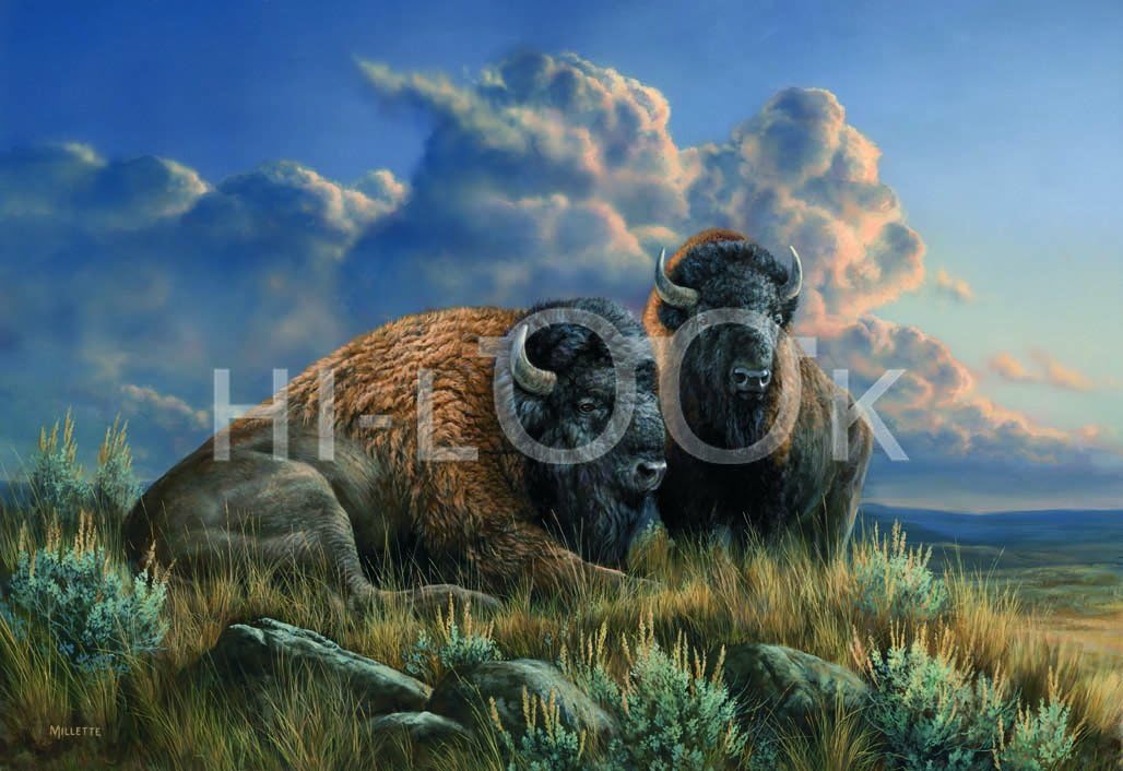 Amazon.com: Hi-Look Microfiber Cleaning Cloth - Distant Thunder ...