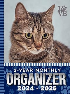 The Purrfect Tabby Cat Combos For Your Furry Friend | PetShun
