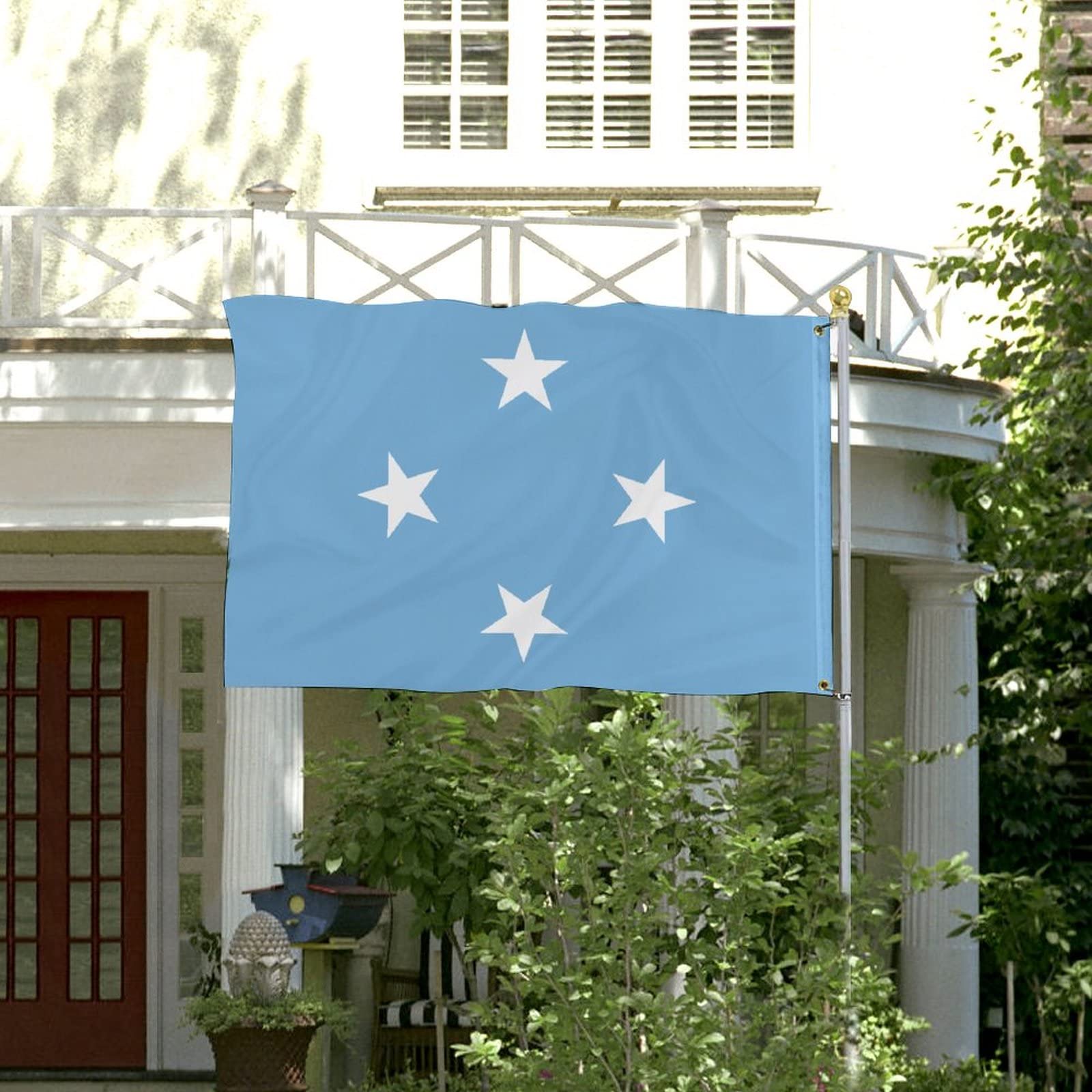 Micronesia Flag