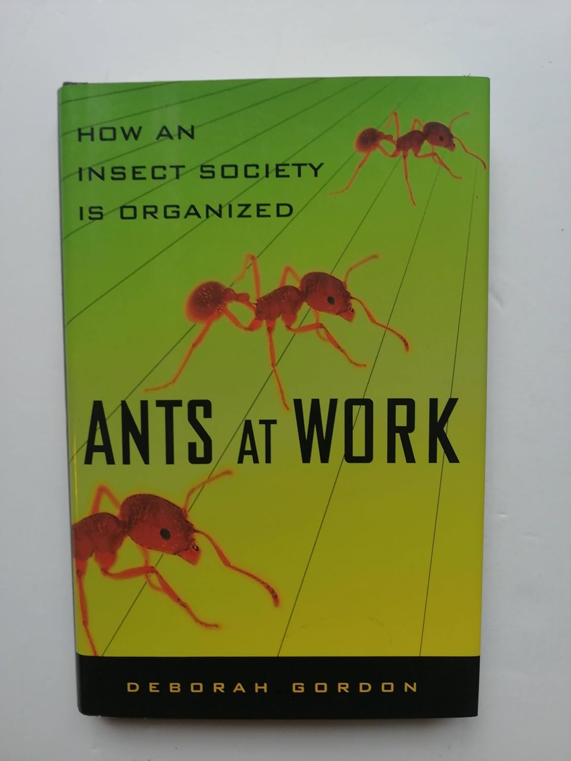 Ants At Work: How An Insect Society Is Organized: Gordon, Deborah ...