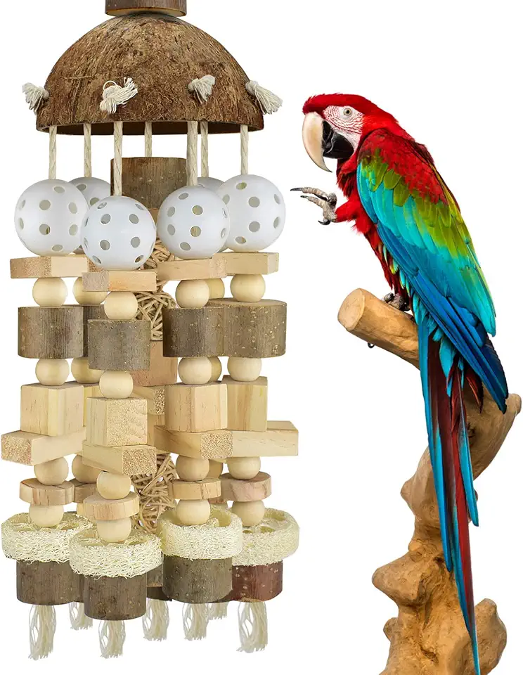 All About The Severe Macaw: Characteristics, Behavior, And Care | PetShun