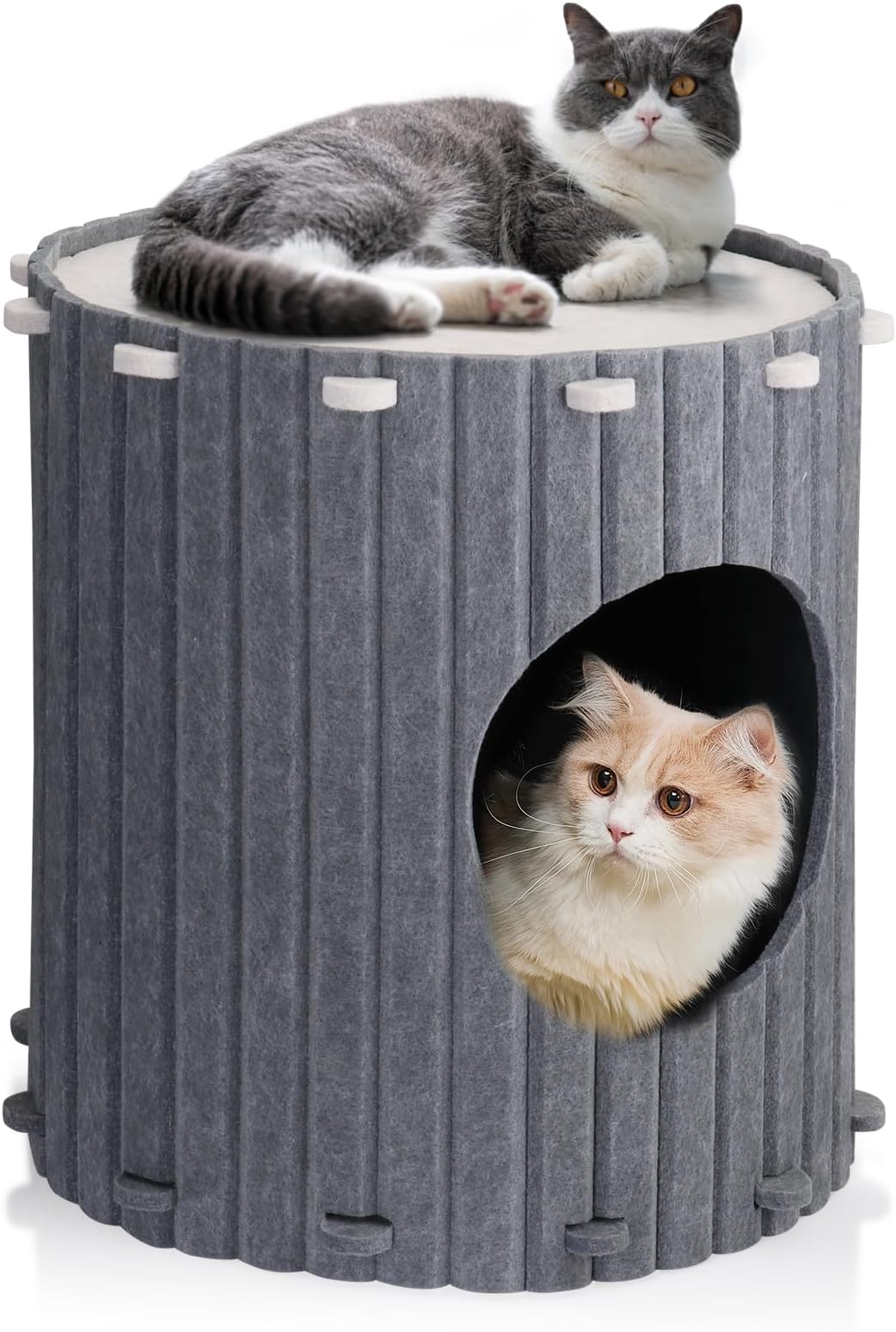 Amazon.com : Purr&Knead Cat Bed for Indoor Cats with Large Replaceable ...