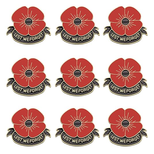 Buy POIUYTRE 3 6 9Pcs Poppy Flower Pins Lest We Forget Poppy Brooch Pin ...