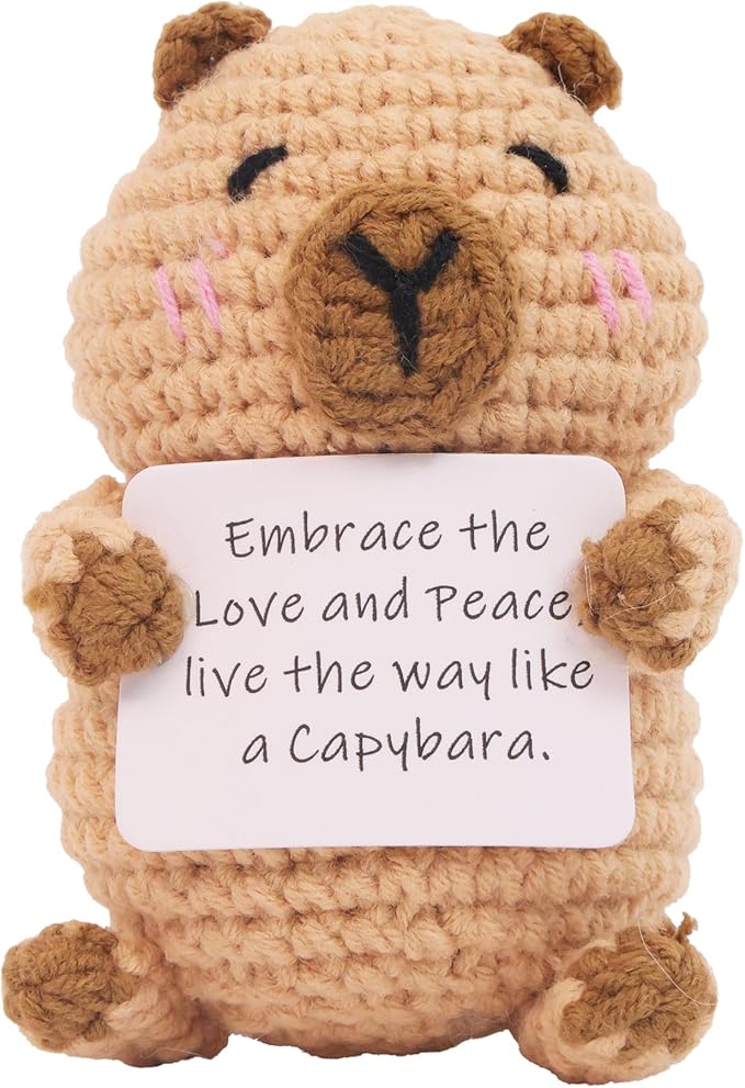 Amazon.com: Capybara Gifts, Positive Crochet Animals Capybara, Knitted ...