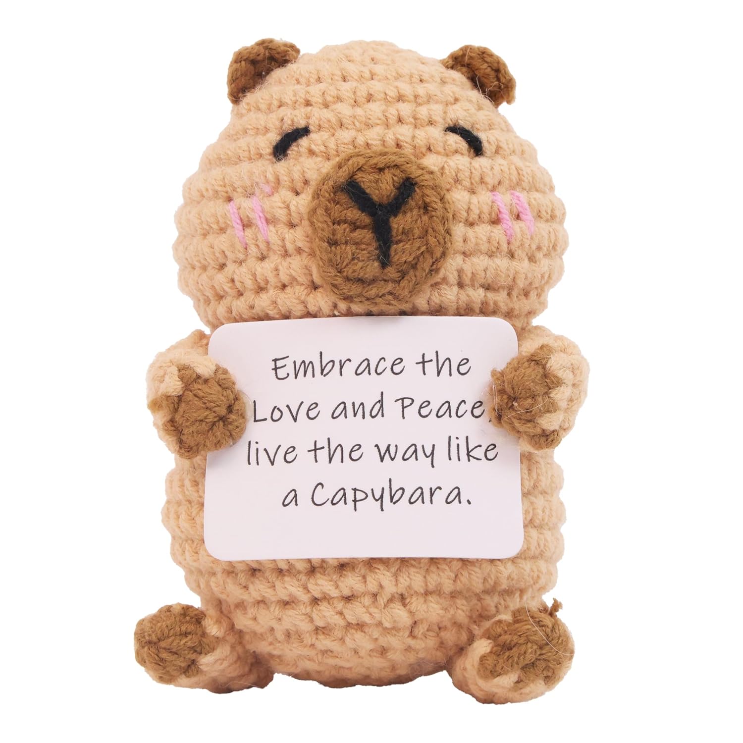 Amazon.com: Mini Funny Positive Capybara, Knitted Wool Capybara Toy ...