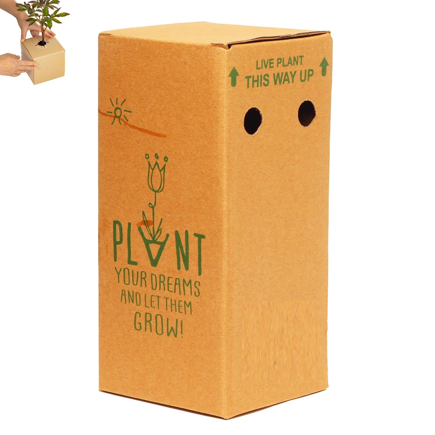 Plant Packaging