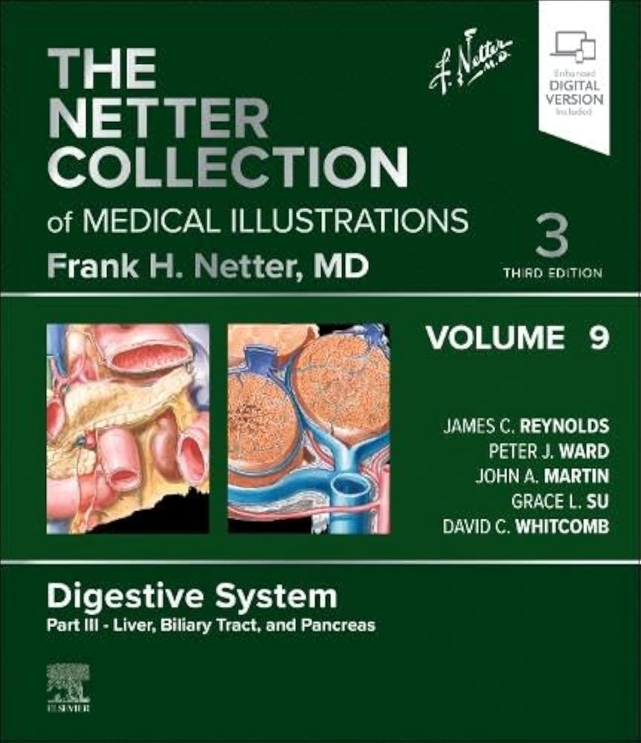 Amazon | The Netter Collection of Medical Illustrations: Digestive ...