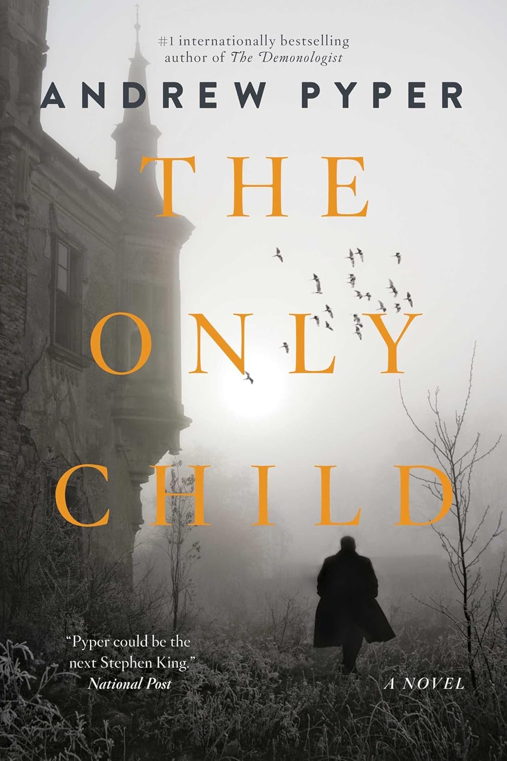 The Only Child: A Novel: Pyper, Andrew: 9781476755298: Books - Amazon.ca