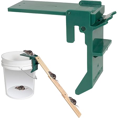 Amazon.com : Large Walk The Plank Rat & Mice Trap - 2 Plank (Universal ...