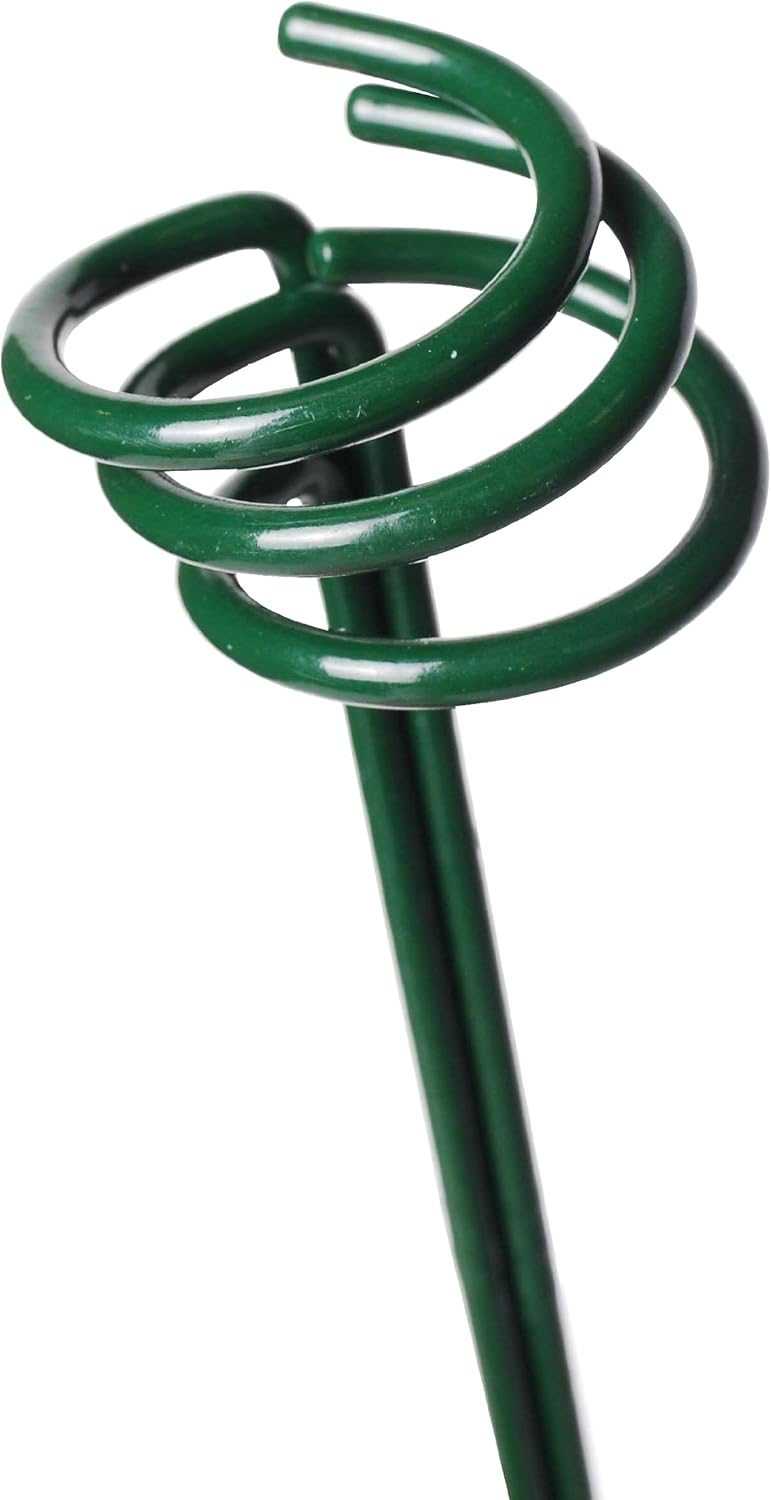 Amazon.com : Bond Manufacturing 398 3-Pack Curly Q Plant Stakes (Case ...