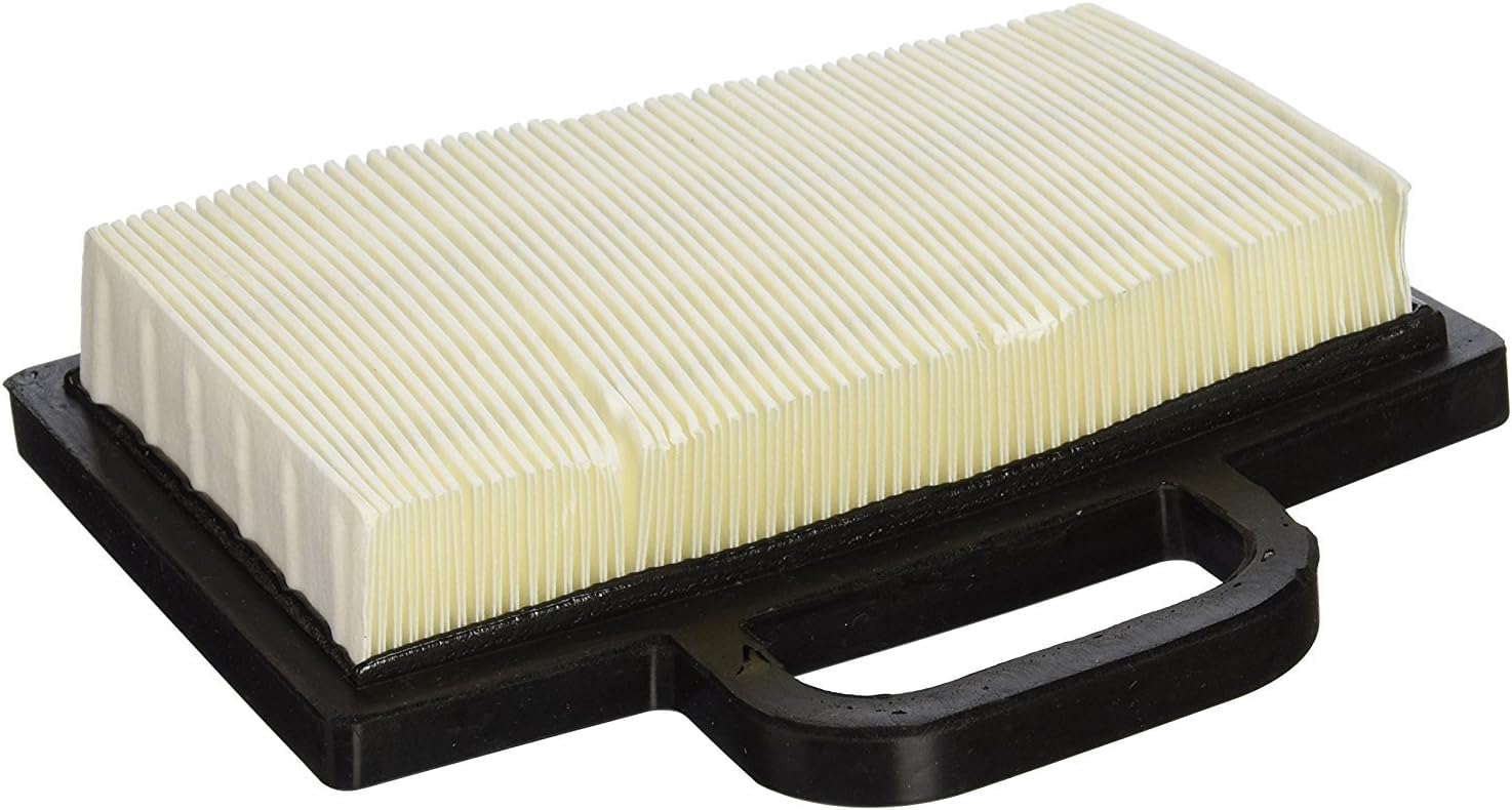 Amazon.com: Air Filter Compatible with Briggs 499486 499486S 4209 4223 ...